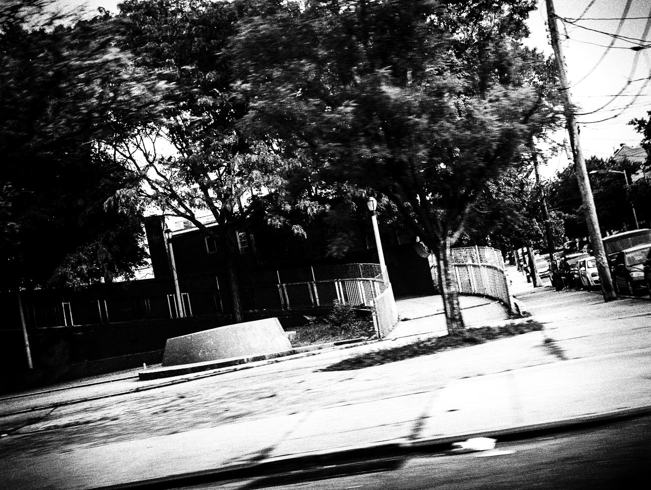 Stop Time Shutterbug